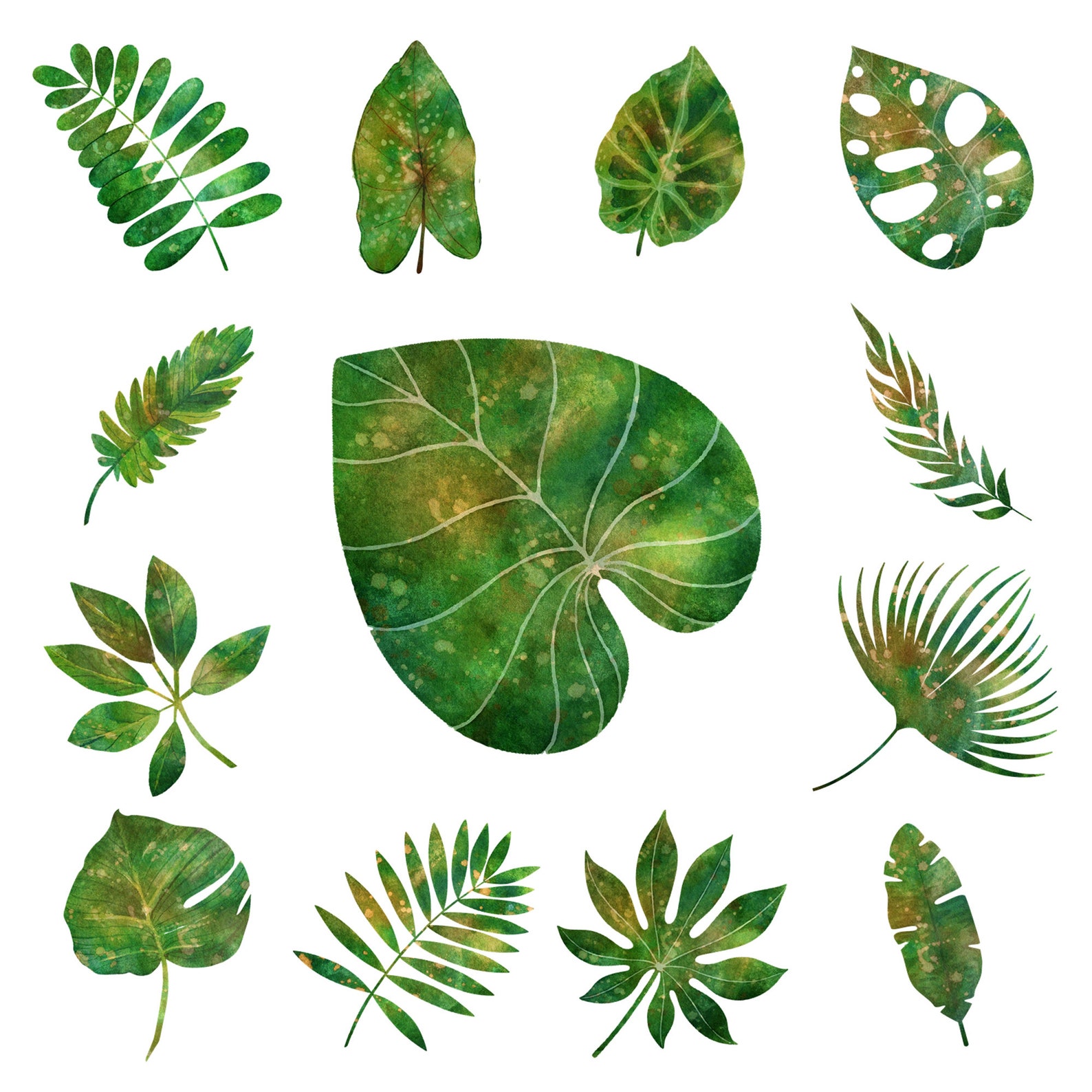 Tropical Leaf Clipart Set Green Leaves Rainforest Nature - Etsy