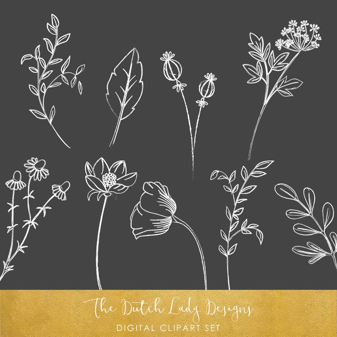 Meadow and Field Flowers Clipart Set 1 - Sketched Style - INSTANT ...