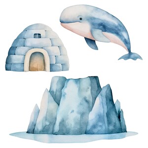 Arctic Life Clipart - Childrens Illustrations - Cute Watercolor ...