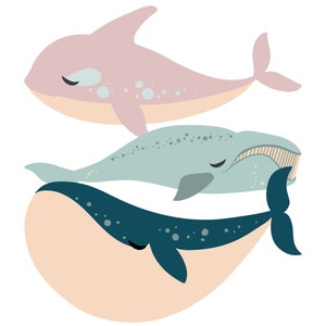 Cute Nautical Clipart Set - Flat Clipart Graphics - Whales - Ocean ...