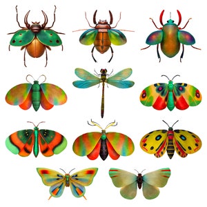 Beetles & Moths Clipart Set - Colorful Insect Graphics - Bugs ...