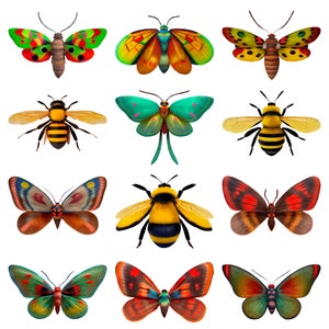 Beetles & Moths Clipart Set - Colorful Insect Graphics - Bugs ...