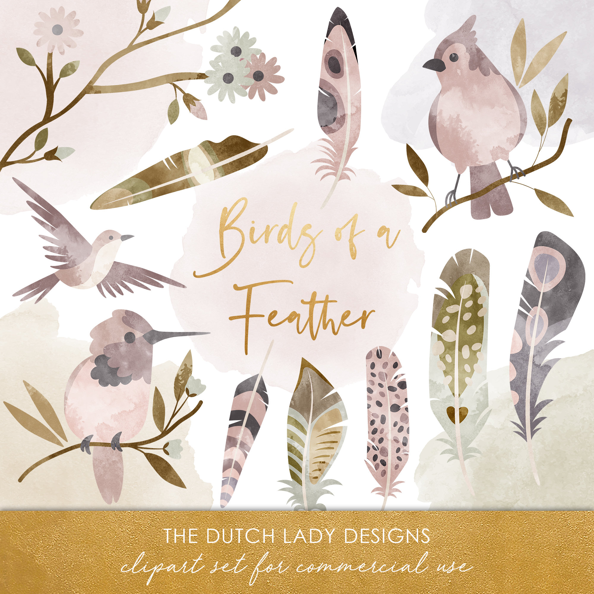 Birds & Feathers Clipart Set Pastel Watercolor Floral | Etsy