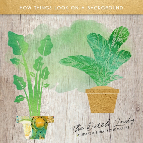 Potted Vegetable Plant Clipart