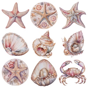 Beach Treasure Clipart - Watercolor Pencil Art - Ocean Shore ...