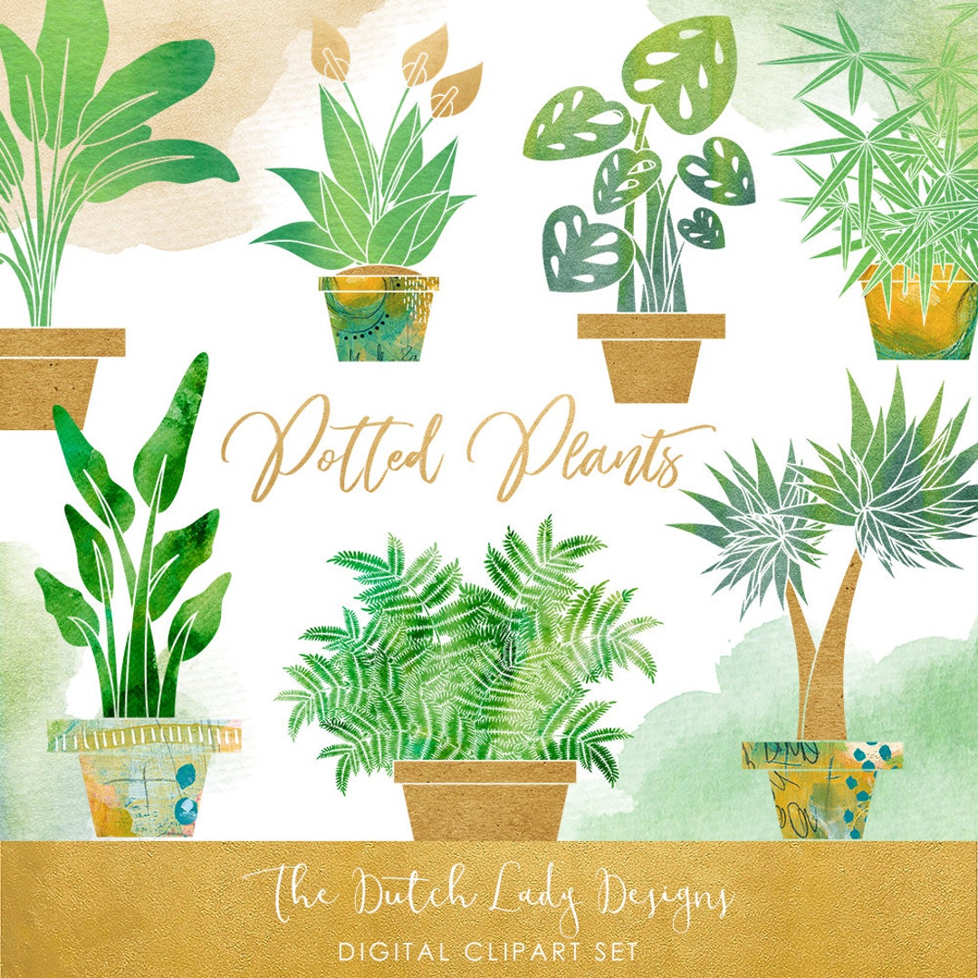 Plants Clipart Set - Potted Plant Images - Indoor Greenery & Flora ...