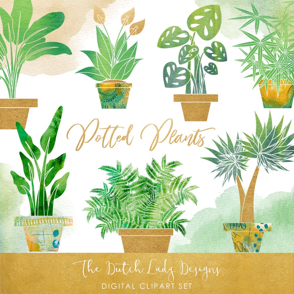 Plants Clipart Set Potted Plant Images Indoor Greenery & - Etsy