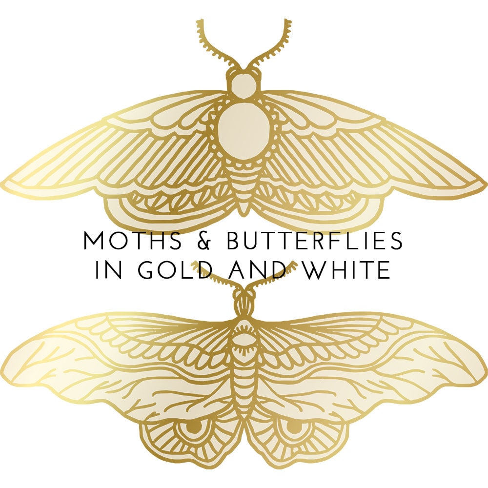 Moth & Butterfly Clipart Set in Gold and White With Some - Etsy
