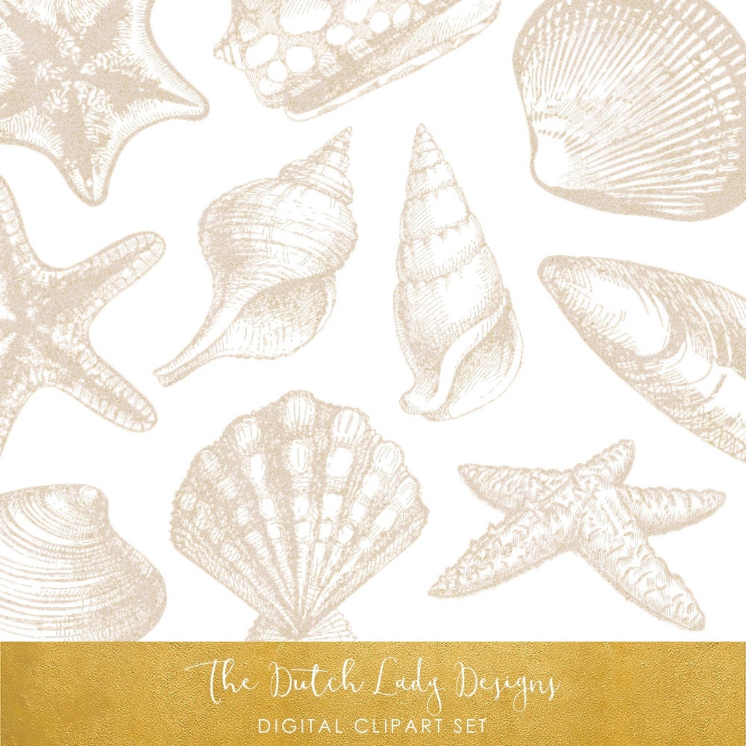 Sandy Seashell & Seastar Clipart Set - Beach - Shells - Sand - Ocean ...