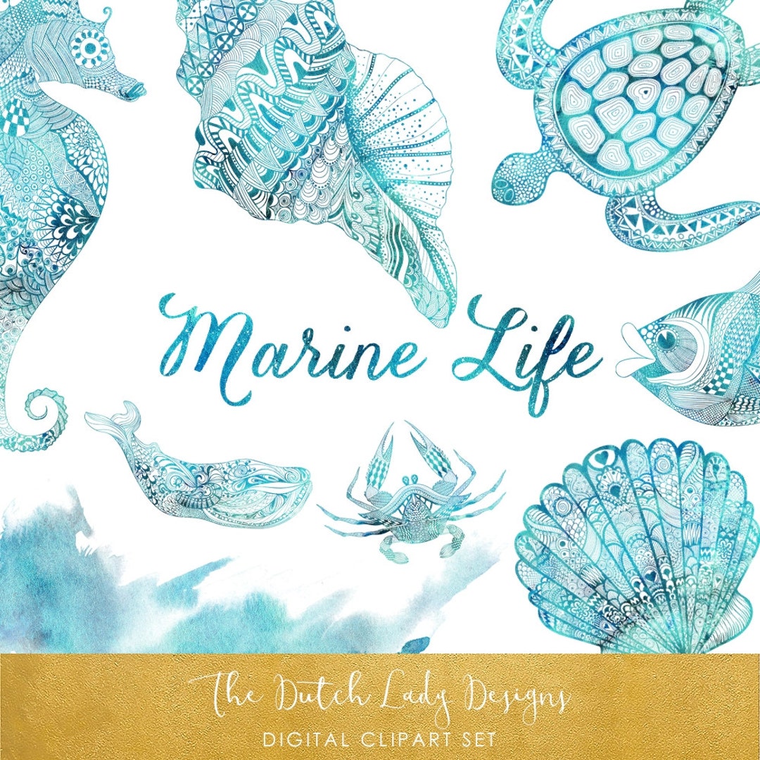 Marine Life Clipart Set - Animals, Shells & Watercolor - Ocean Images ...