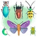 Insect Clipart Set - Handpainted Illustrations - Beetles - Bugs - Moth ...