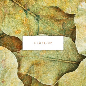 Digital Scrapbook Paper Set - Printable Backgrounds - Leaves - Nature ...