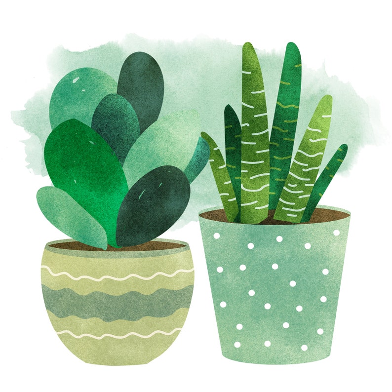 Cacti & Succulent Clipart Set Cactus Potted Plant Desert - Etsy