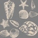 Seashell Clipart Set: Sandy Beach, Ocean Graphics (commercial Use ...