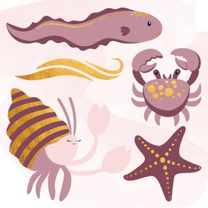 Sea Life Clipart Set - Flat Clipart Graphics - Nautical Images ...