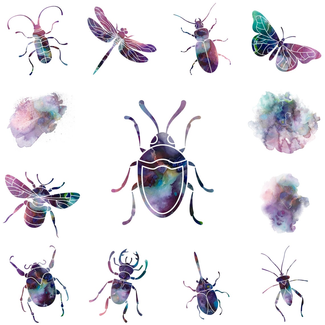 Beetles & Bugs Clipart Set Butterfly Dragonfly Insect - Etsy