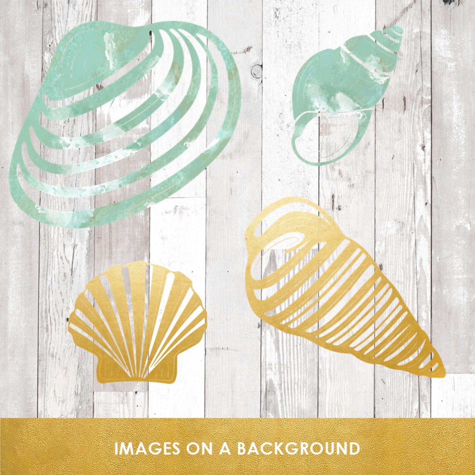 Golden & Ocean Style Sea Shell Clipart Set Seashell Gold - Etsy