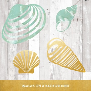 Gold & Ocean Sea Shell Clipart Set (12 PNG Images) (digital Download ...