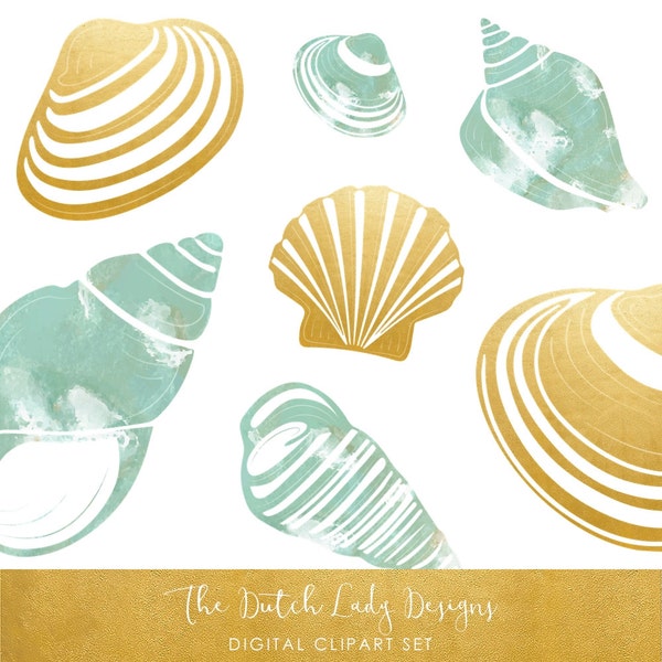 Shell Clipart - Etsy