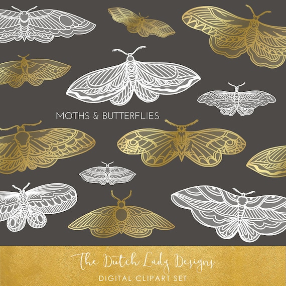 Moth & Butterfly Clipart Set In Gold And White With Some | Etsy