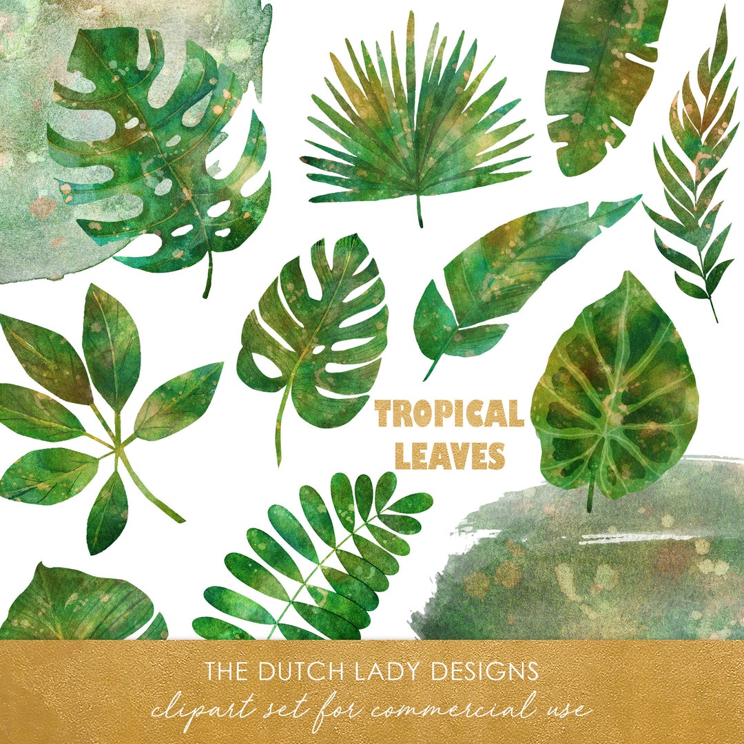 Tropical Leaf Clipart Set - Green Leaves - Rainforest - Nature ...