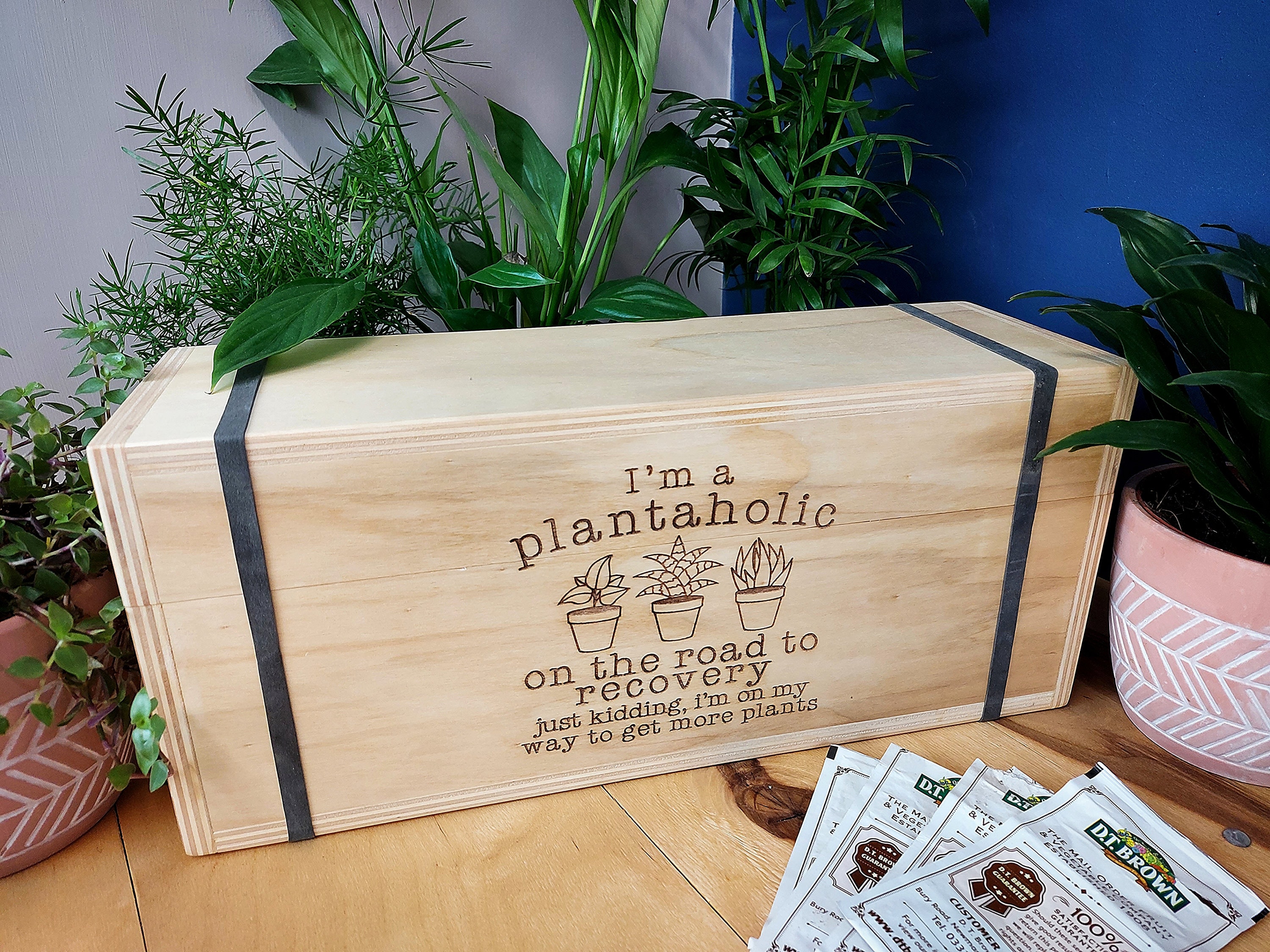 Engraved Wooden Seed Box - Handmade in the UK - Etsy UK