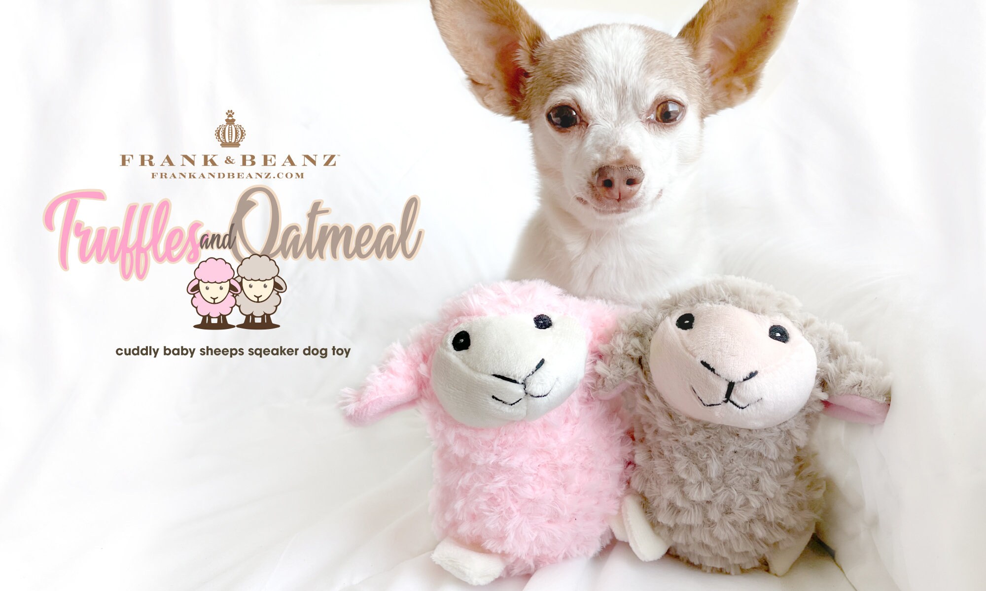 Truffles & Oatmeal Baby Sheep Dog Toys Squeaker Soft Plush Dog - Etsy