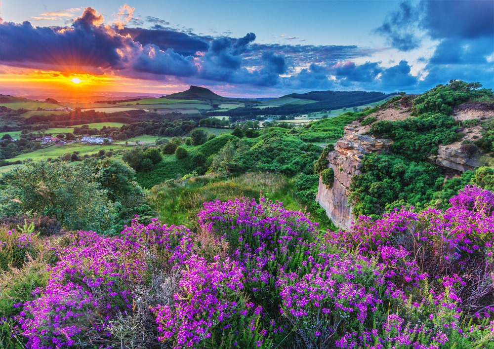 North York Moors Landscape Photography Roseberry Topping, Heather ...