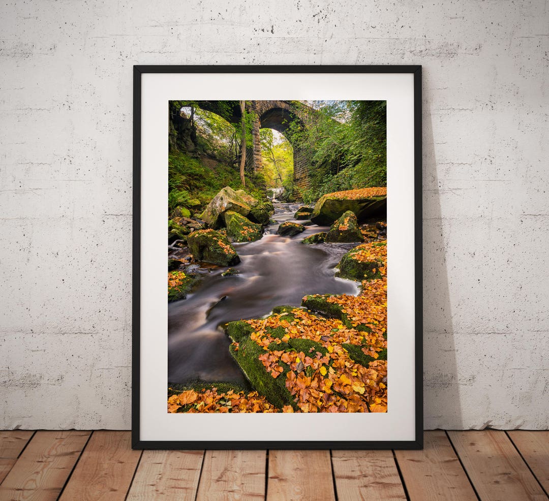 Autumn Woodland Stream Under a Rail Viaduct on the North York Moors ...