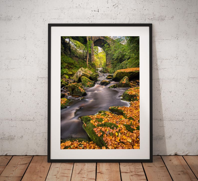 Autumn Woodland Stream Under a Rail Viaduct on the North York - Etsy