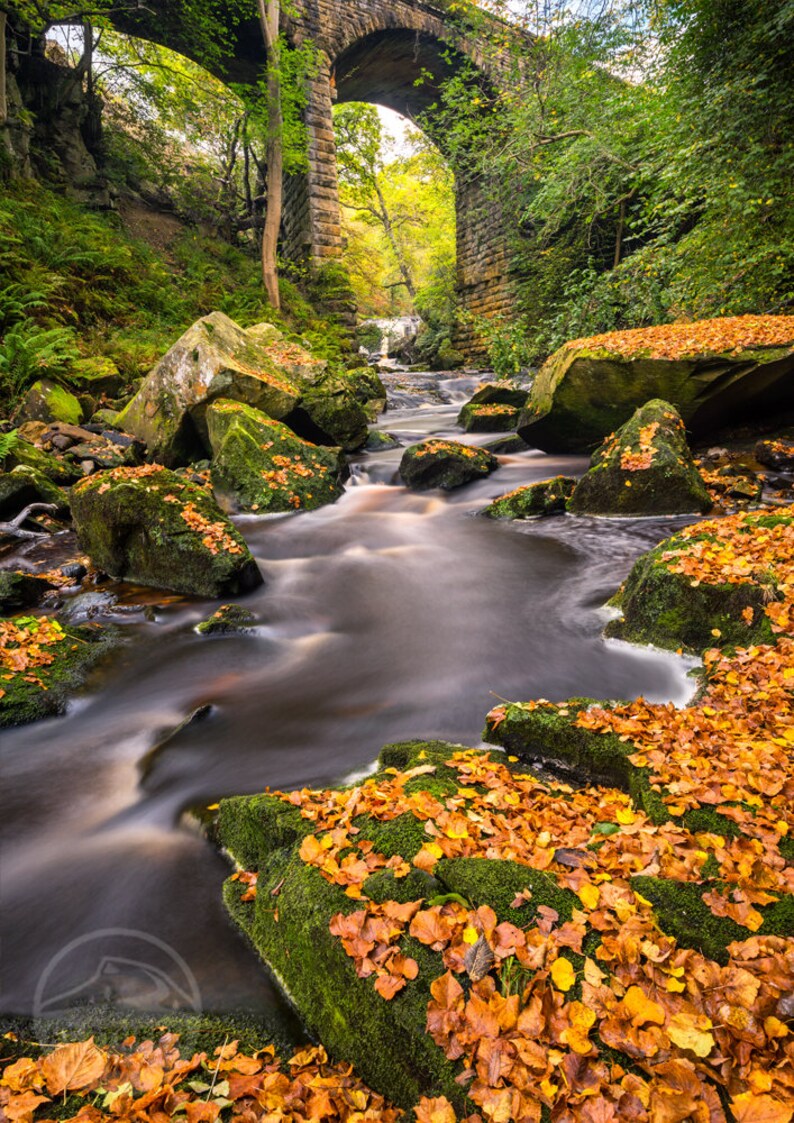 Autumn Woodland Stream Under a Rail Viaduct on the North York - Etsy