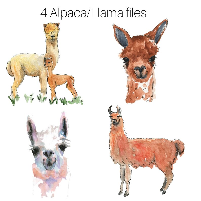 Llama Clipart Cactus Clipart 10 Instant Download Files - Etsy