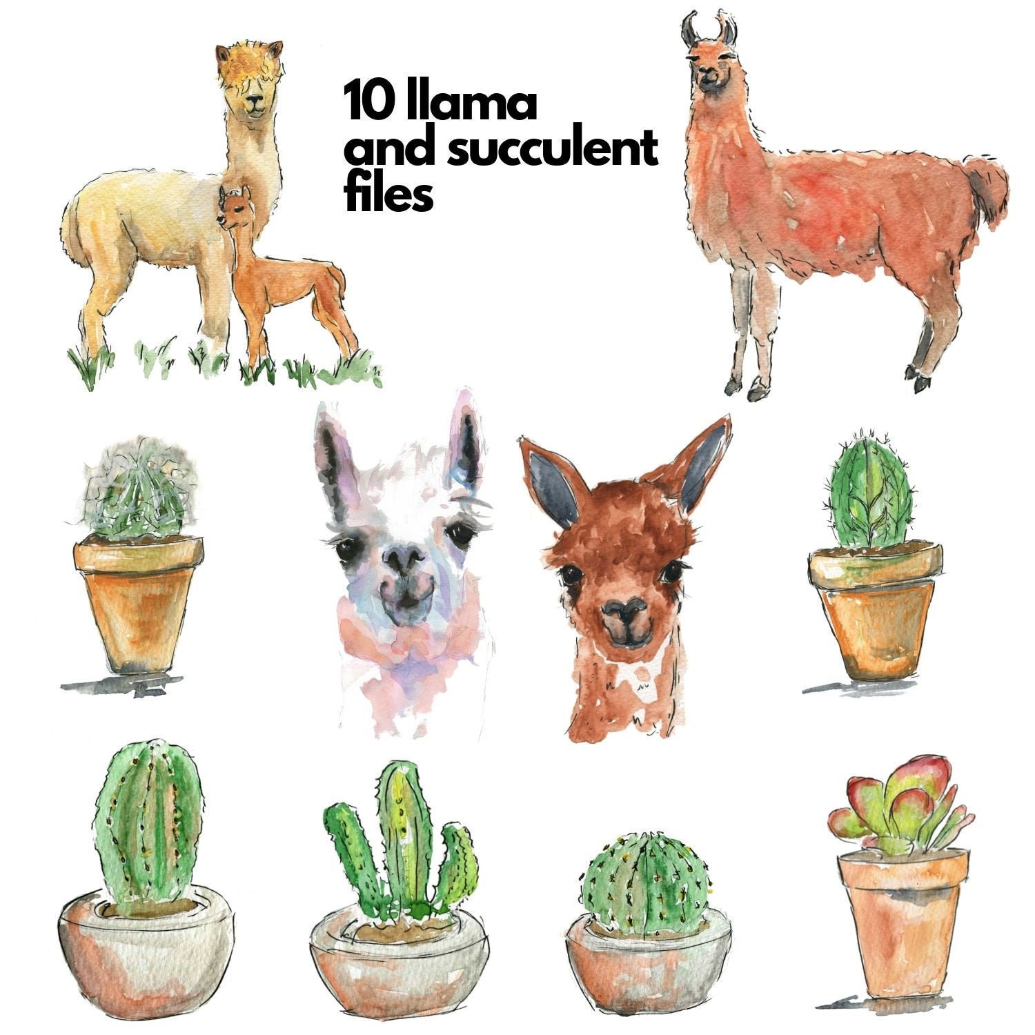 Llama Clipart Cactus Clipart 10 Instant Download Files - Etsy
