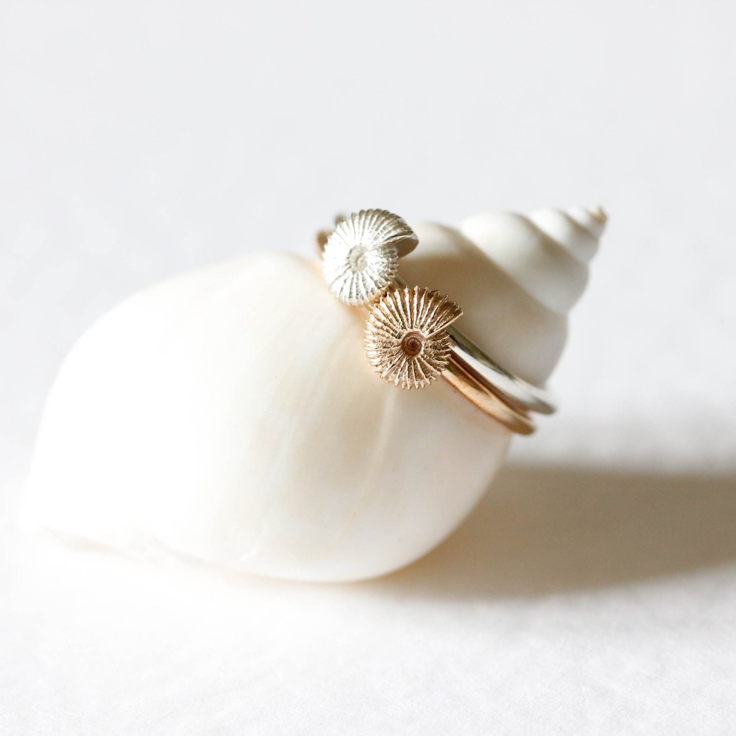 Ammonite Ring Silver/gold Shell Ring Stacking Ring - Etsy UK