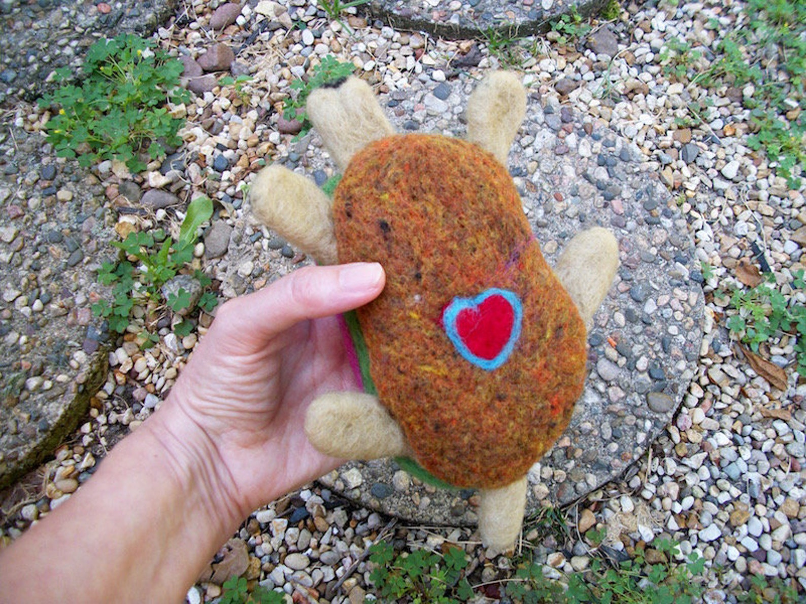 Felted Turtle Colorful Turtle Tropical Pet Handmade Art | Etsy