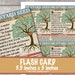 Mustard Seed Parable Activity Sheet & Bookmark (PDF Download) - Etsy