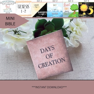 I Spy Story of Creation Activity, Worship Activities for Kids, 7 Days ...