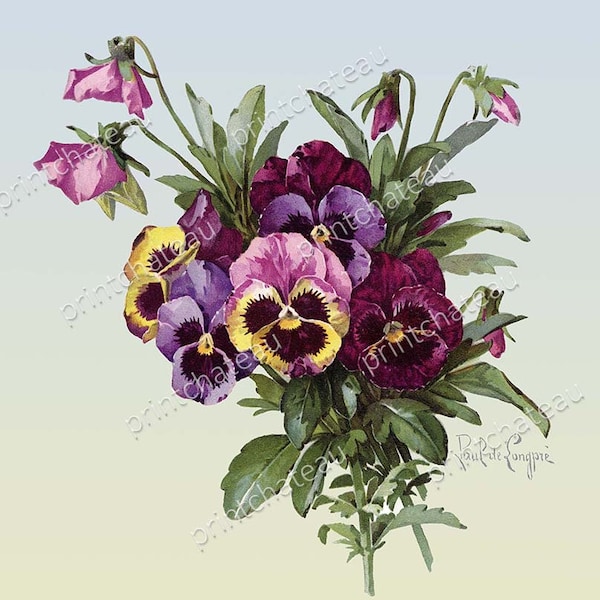 Pansy Bouquet - Etsy