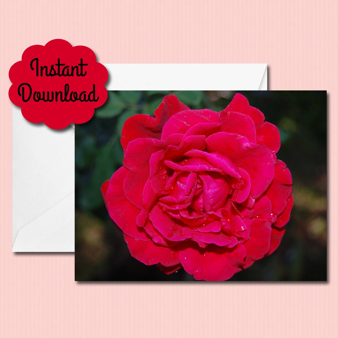 Photo Art Note Card - Red Rose - Flowers - Printable - Instant Download ...