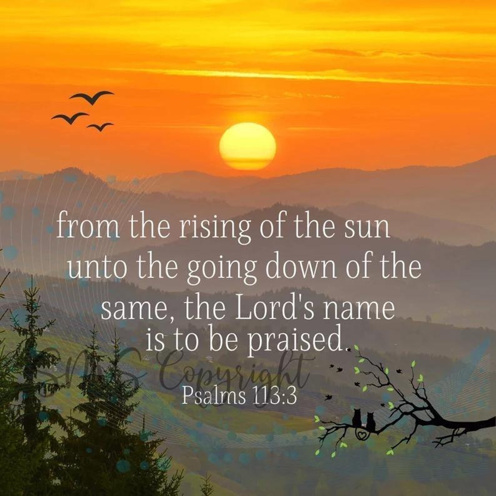 From the Rising of the Sun. Signs. Framed. to the Going Down of the ...