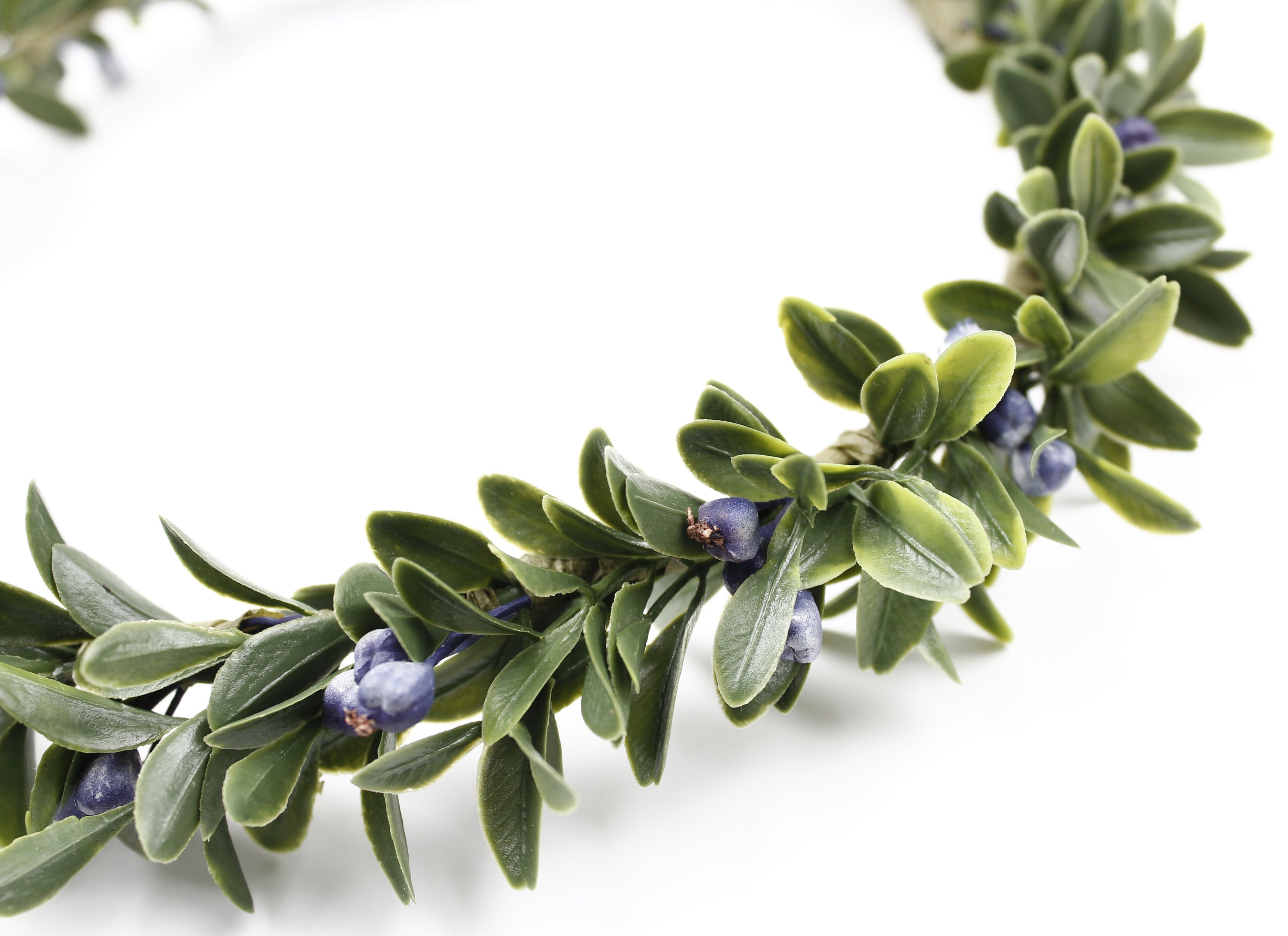 Blueberries Flower Crown Flower Girl Crown Blueberries Crown - Etsy Canada