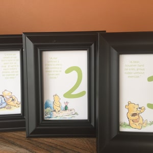 Classic Winnie the Pooh and Friends Table Number Cards (winnie the Pooh ...