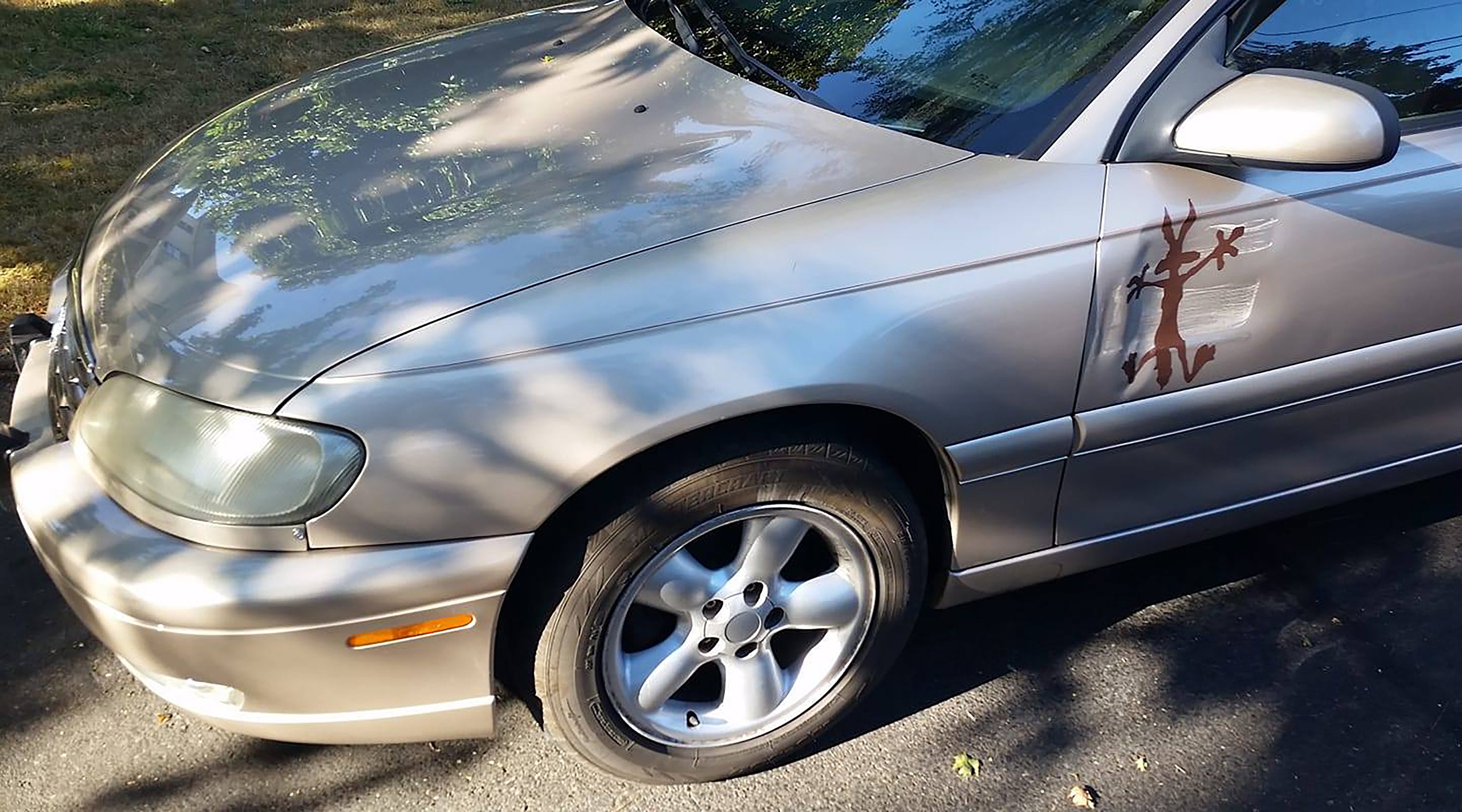 Coyote Splat Window Decal Sticker coyote splat coyotesplat - Etsy