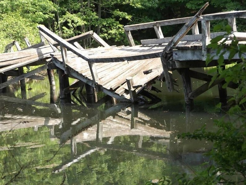 Fallen Bridge - Etsy