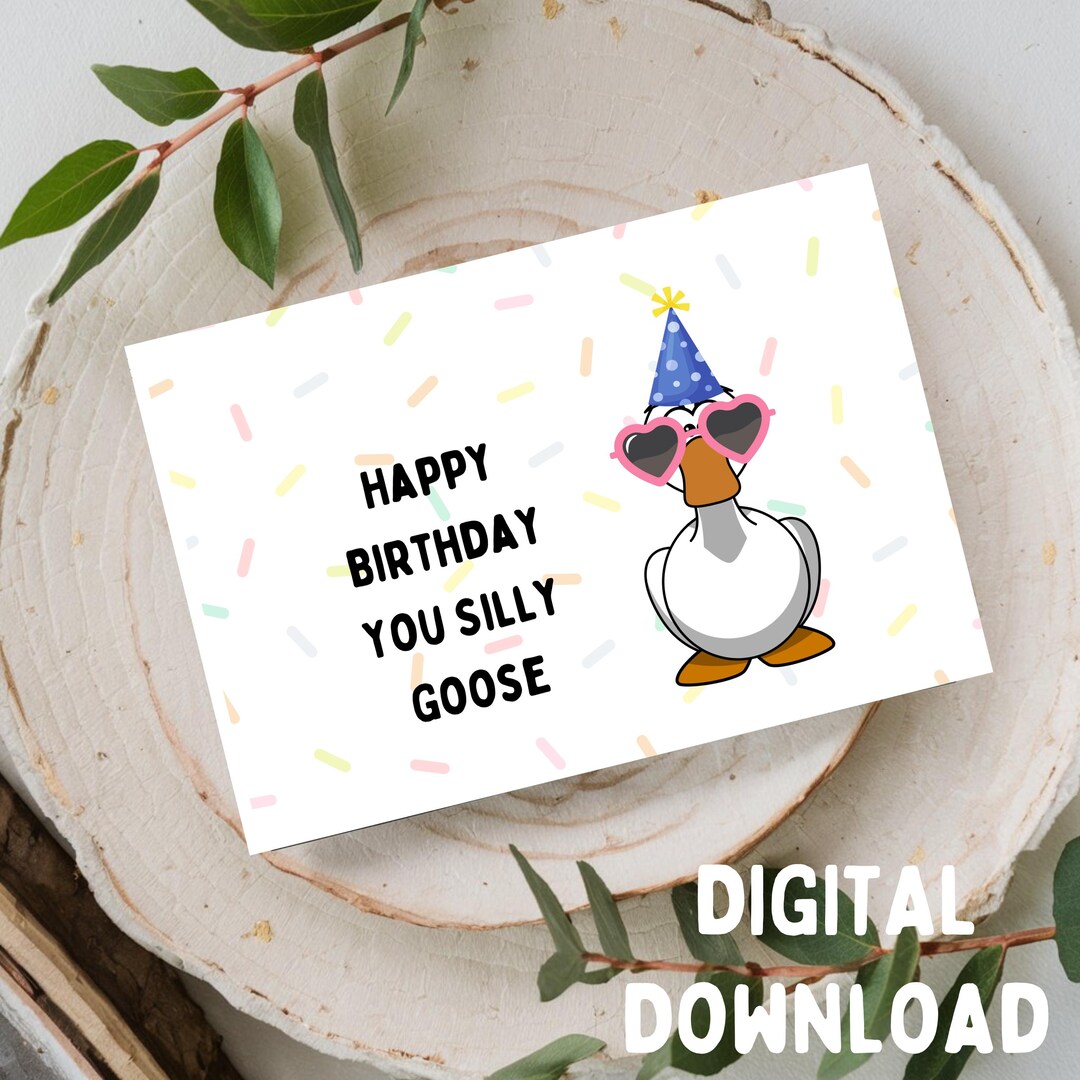 Happy Birthday You Silly Goose- Cute / Funny/ Birthday Greeting Card ...