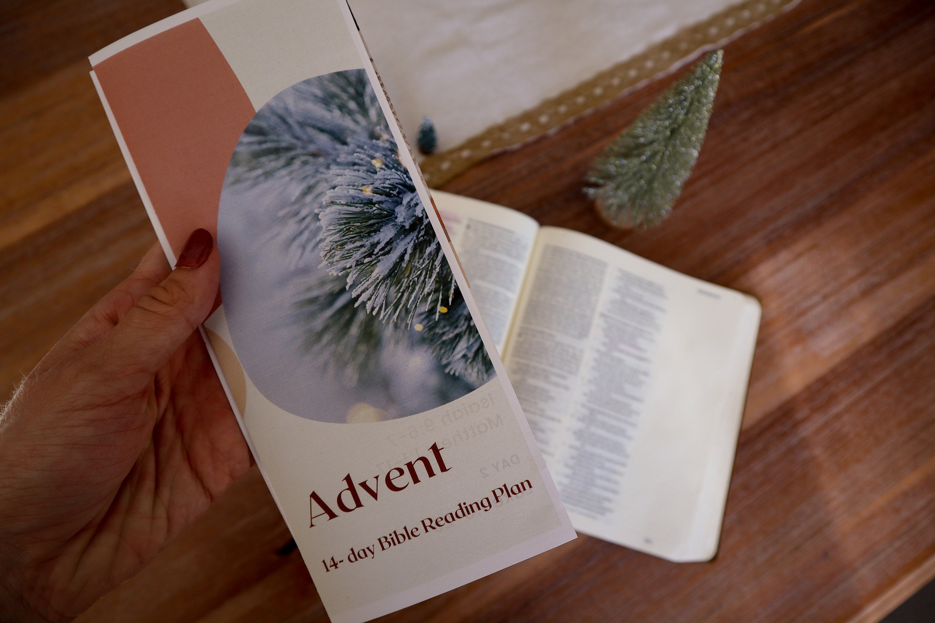 Advent Bible Reading Plan printable Download 14-day Christmas Bible ...