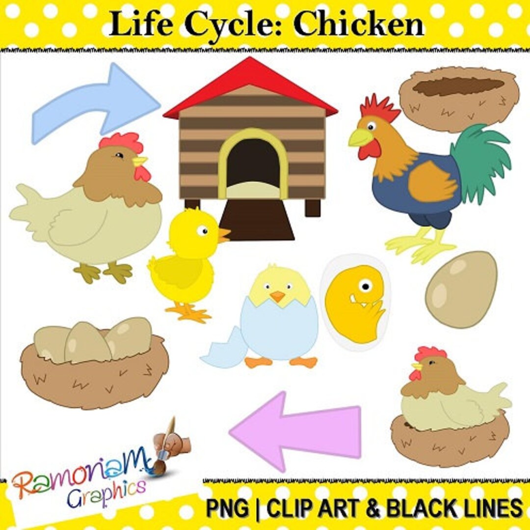 Life Cycle Clip Art Chicken - Etsy
