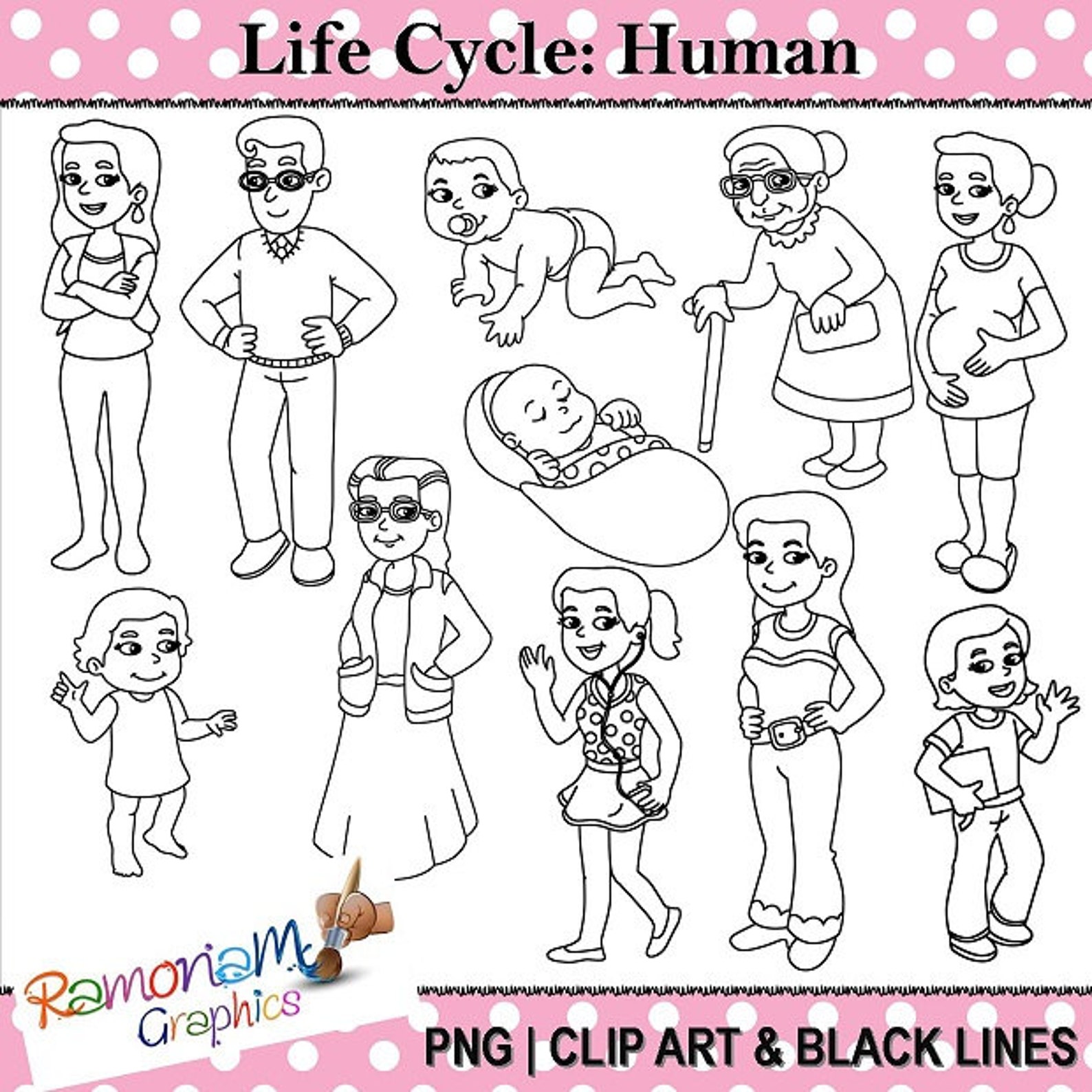 Life Cycle Clip Art Human - Etsy