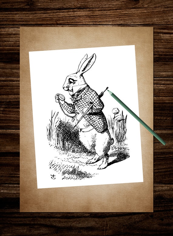 Alice In Wonderland Coloring Pages Rabbit