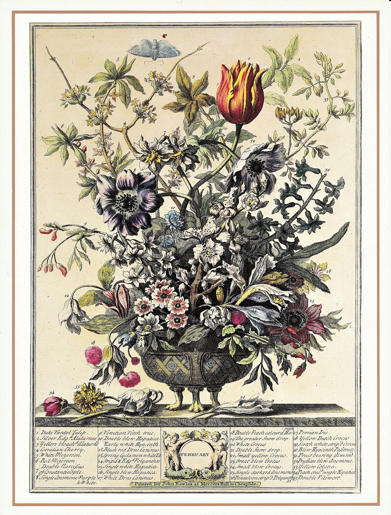 February Vintage Botanical Art Print Winterthurs 12 Months of - Etsy February Vintage Botanical Art Print Winterthurs 12 Months of - Etsy